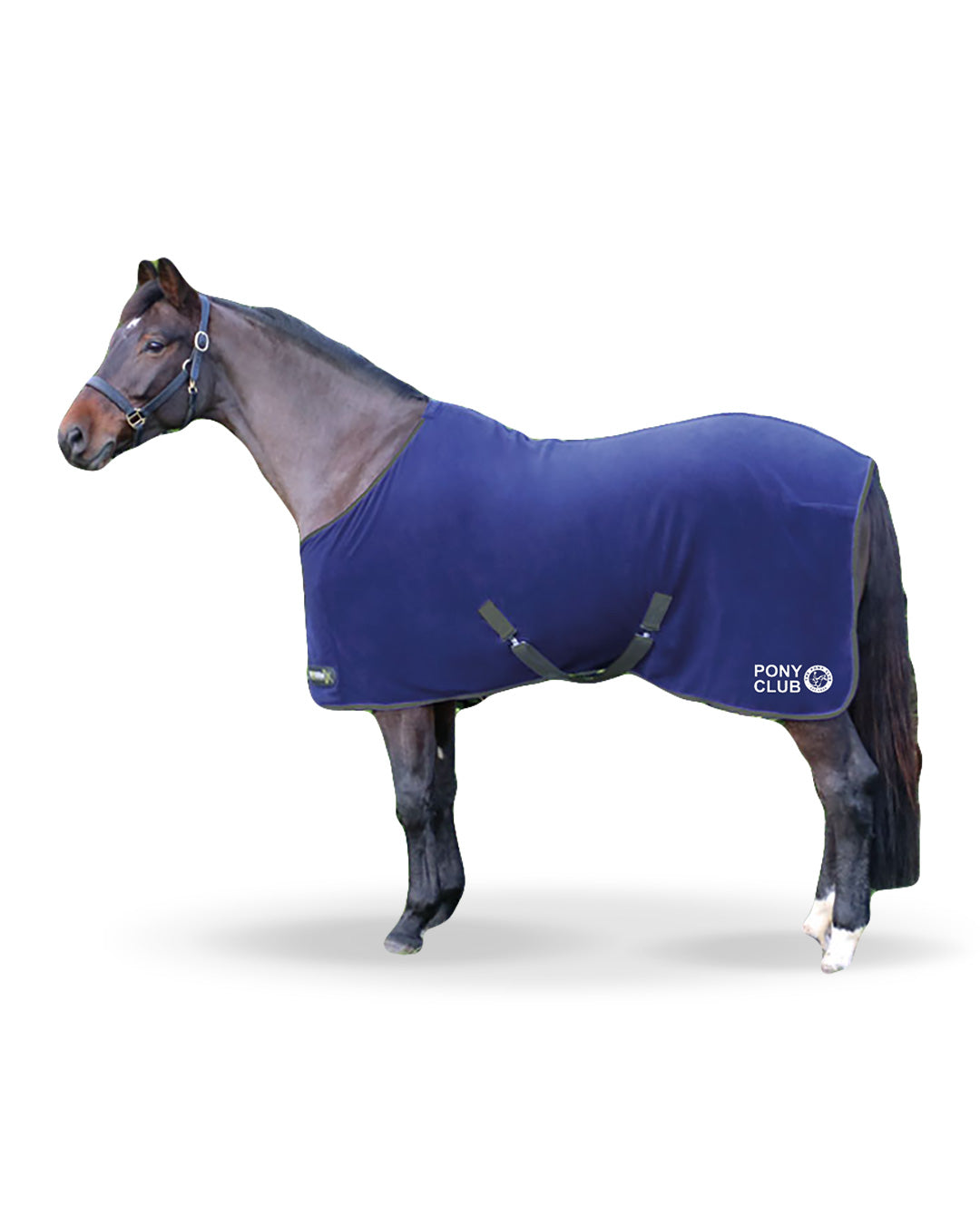 Pony Club Fleece Rug – The Pony Club Shop